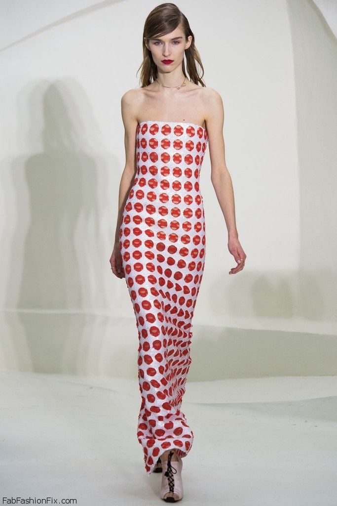 Christian Dior Haute Couture Spring/Summer 2014 collection | Fab ...